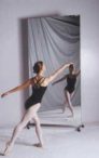 Dance mirror styles: portable, wallmount glassless mirrors for ballet ...